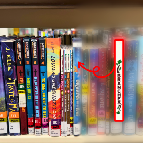 Early Chapter Books: Scholastic Branches - Plainfield-Guilford Township ...